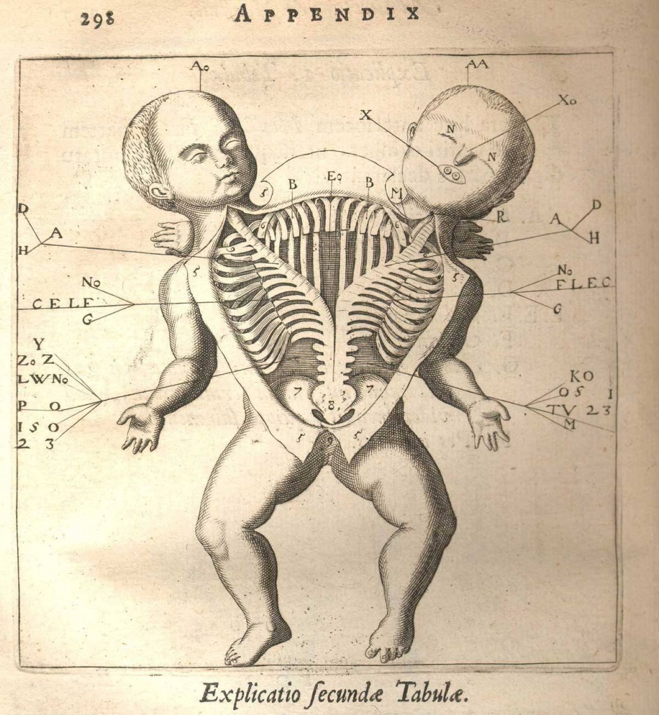La Fattoria Dorata Dell Angelo Della Morte
