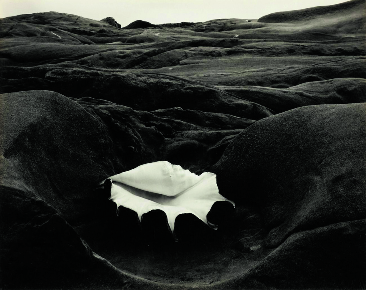 Edward Weston, le rivelazioni del formalista oltre | il manifesto